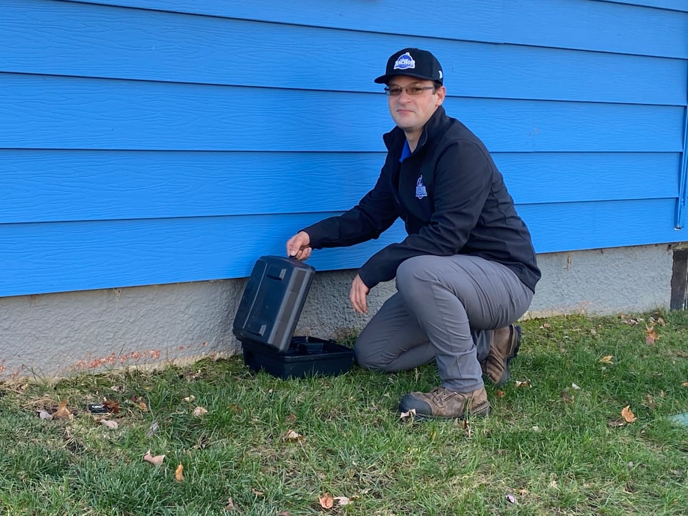 Mouse Extermination and Rodent Exclusion Cream Ridge, NJ 08514