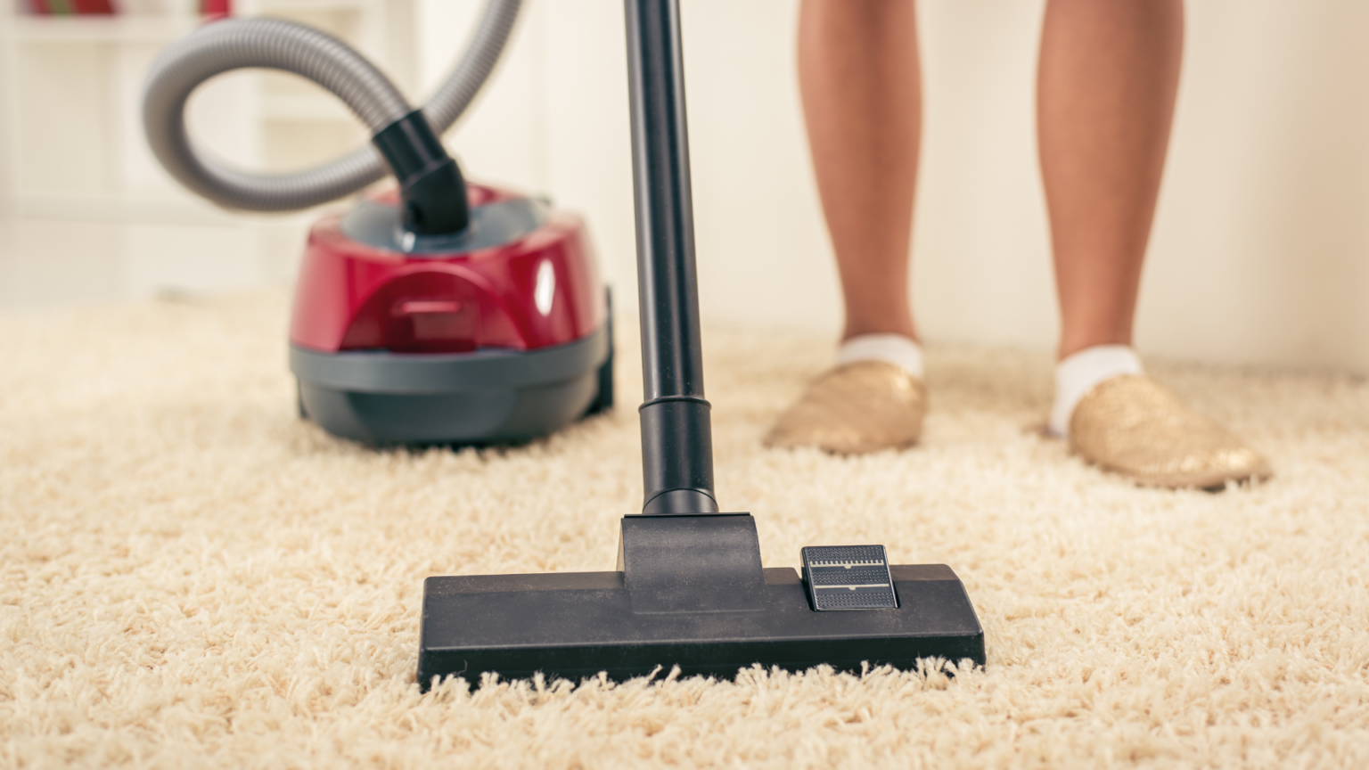 Pincher Bugs: What Are They and How to Get Rid of Them